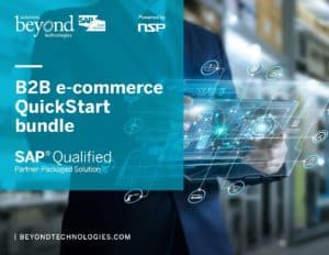 Beyond-Technologies-B2B-e-Commerce-QuickStart-Bundle-Brochure - Beyond ...
