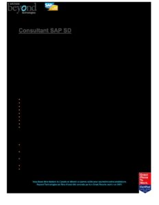 Consultant SAP SD - Beyond Technologies